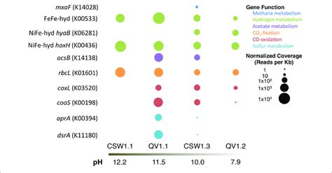Relative Abundance Of Protein Encoding Genes With Kegg Ids In Each