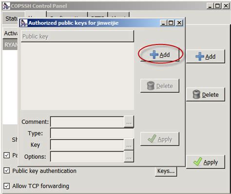 step by step setup git server on windows with copssh
