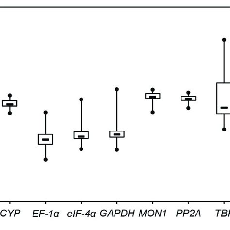 Confirmation Of Primer Specificity And Amplicon Size A Melting Curve