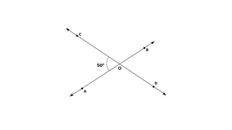 Two Straight Lines Ab And Cd Intersect Each Other A Point O And Angle