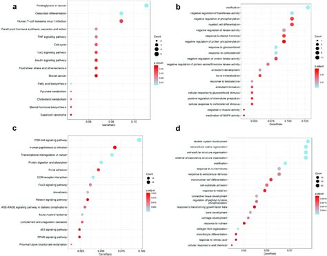 Bubble Plots Of Kyoto Encyclopedia Of Genes And Genomes Kegg