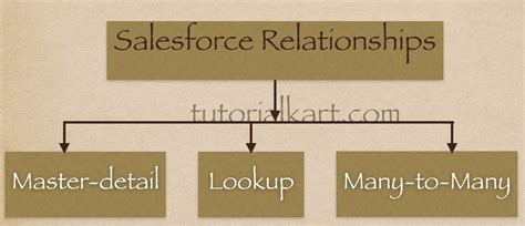 salesforce object relationships master detail lookup