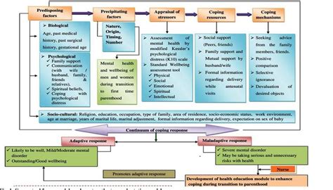 Conceptual Framework Based On Stuarts Stress Adaptation Model The