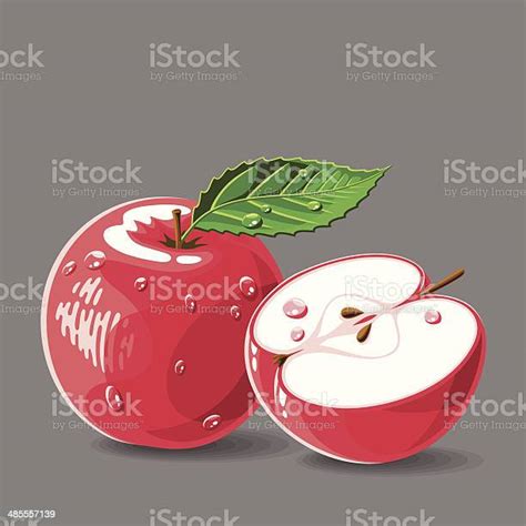 Vektor Apel Merah Segar Dengan Tetesan Air Ilustrasi Vektor Ilustrasi