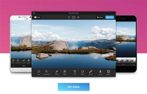 vue js plugin for photoeditor sdk
