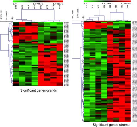 Heatmaps For Hierarchical Clustering Of Significant Genes Genes