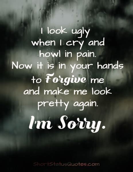 Sorry Status And Sorry Text Messages Sweet Cute And Heartfelt