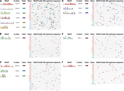 Frontiers Comparative Genomic And Transcriptomic Analysis Reveals