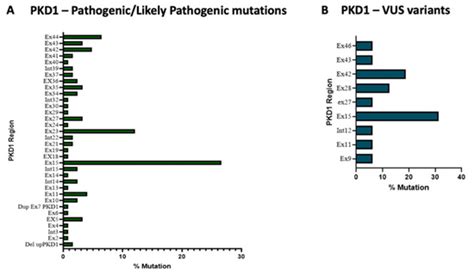 Genes Free Full Text Molecular Diagnosis And Identification Of
