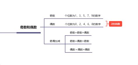 五年级下册，因数与倍数思维导图 迅捷画图