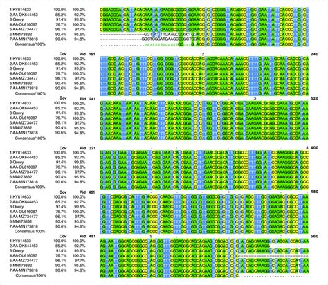 A Multiple Nucleotide Sequence Alignment Of The Its2 5 8 S Ribosomal