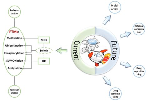 Ijms Free Full Text Drug Discovery Targeting Post Translational