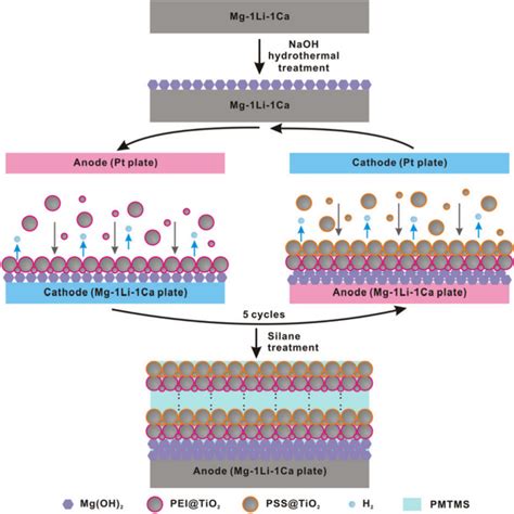 Schematic Representation Of The Preparation Of The Pmtms Tio2 Coating