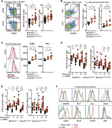 Frontiers Card11 Gain Of Function Mutation Drives Cell Autonomous