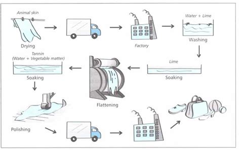 Ielts Process Diagram How To Describe A Task 1 Process