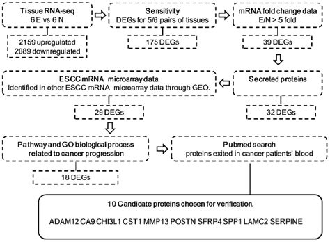 Schematic Representation Of The Approach Used For Candidate Biomarker