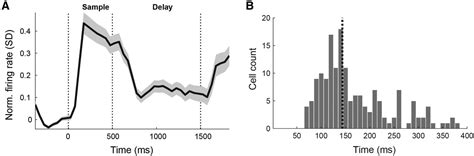 Neuronal Correlates Of Visual Working Memory In The Corvid Endbrain