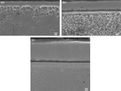 E Cross Sectional Sem Images A 370 Download Scientific Diagram