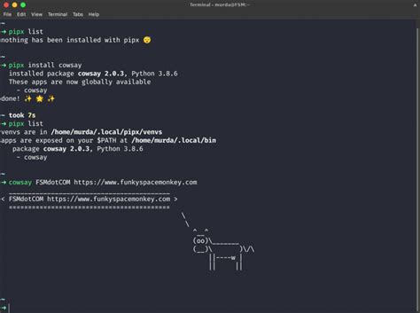 install and run python applications in isolated environments with pipx