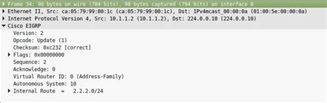 does dynamic routing protocols rip eigrp ospf bgp belong to