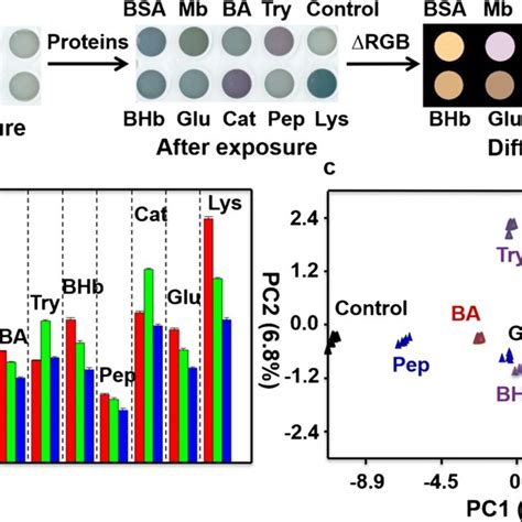 Schematic Illustration Of The Colorimetric Sensing Approach For