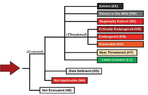 The Iucn Categories Of Risk At Regional Level Download Scientific