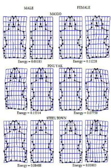 Results Of The Thin Plate Spline Transformation Grid Of The Three