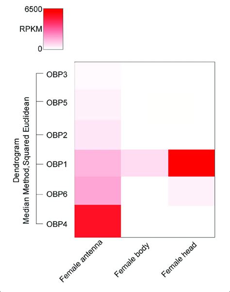 Expression Patterns Of Annotated Obp Genes In Tested Trissolcus