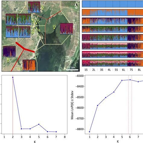 Map Of Gazi Bay With Results Of Bayesian Clustering Analysis Structure