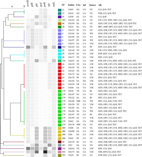 Upgma Dendrogram From The Pattern Of Pairwise Differences In Alleles