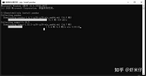 vs code 无法导入panda 库解决方法 知乎