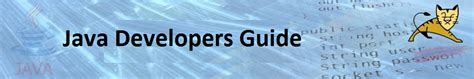 java developers guide [error] unknown lifecycle phase mvn