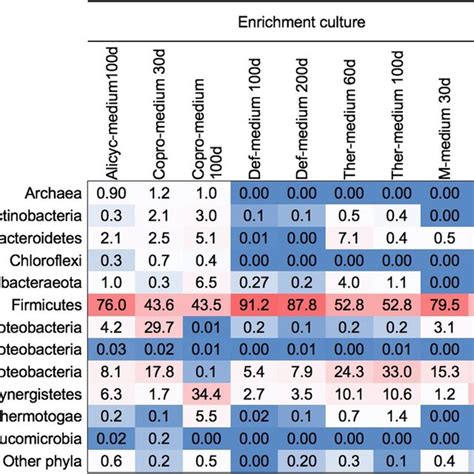 Phylum Or Class Level Microbial Community Composition In 3rd Transfer