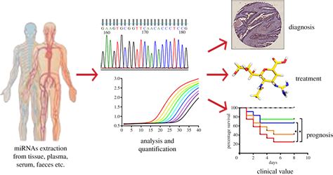 Emerging Microrna Biomarkers For Colorectal Cancer Diagnosis And