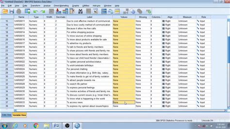 how to enter data into spss program youtube