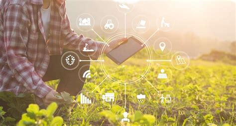 The Impact Of Iot In Agriculture On Farming Efficiency And Quality