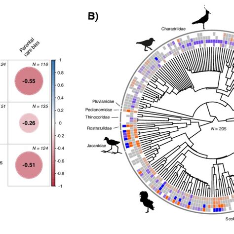 A Phylogenetically Controlled Correlation Matrix Of Four Sex Role