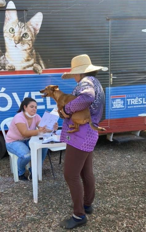 Ccz Vai Realizar Ação Para Cães E Gatos Na Usf Arapuá Na Segunda Feira