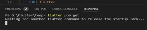 [solved] flutter waiting for another flutter command to release the