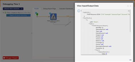 read json and cast to fhir type