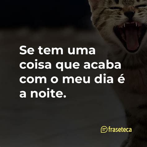 Se Tem Uma Coisa Que Acaba Com O Meu Dia é A Noite Fraseteca