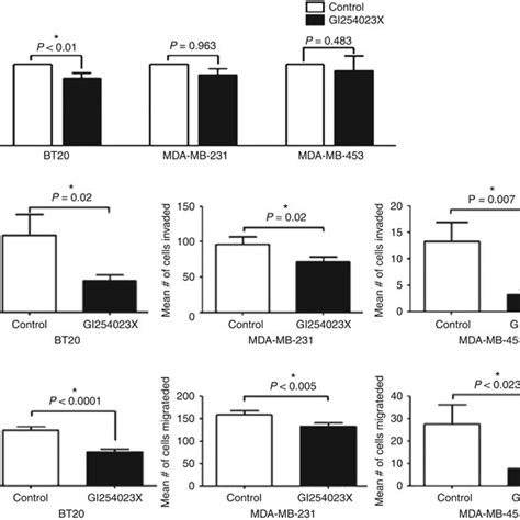 Effect Of Adam10 Rna Interference On Breast Cancer Cell Line Numbers