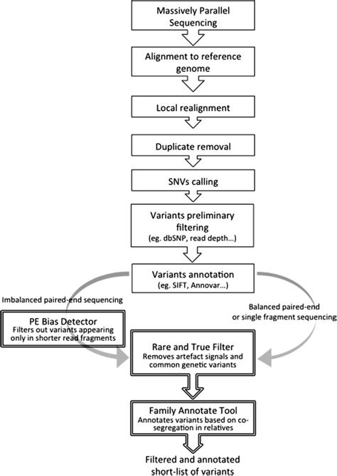 Standard Bioinformatics Pipeline For The Analysis Of Rare Single