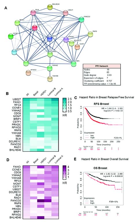 Ppi Map And Functional Annotation Of Bad Prognosis Associated