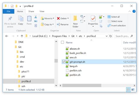 how to customize the git for windows bash shell prompt