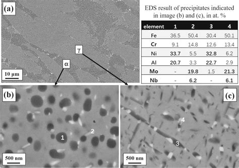 The Microstructure Evolution After Exposure In Liquid Lead For 1000 H