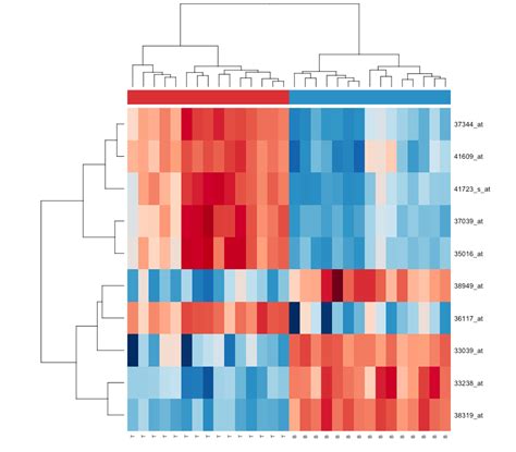 notes on creating beautiful heatmaps in r ancheng s playground