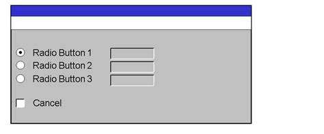 checkboxes and radio buttons with function codes