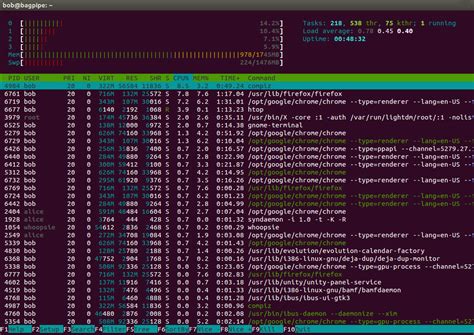 htop command in linux softprayog