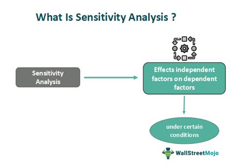 Sensitivity Analysis What Is It Examples Formula How To Do